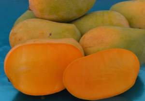 Top 8: Indian Varieties of Mangoes | Taste | Season | Availability ...